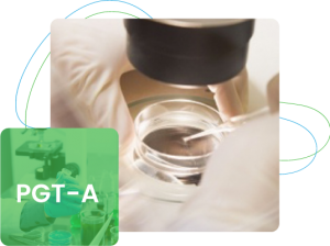 Preimplantation Genetic Testing (PGT) | TMC Fertility