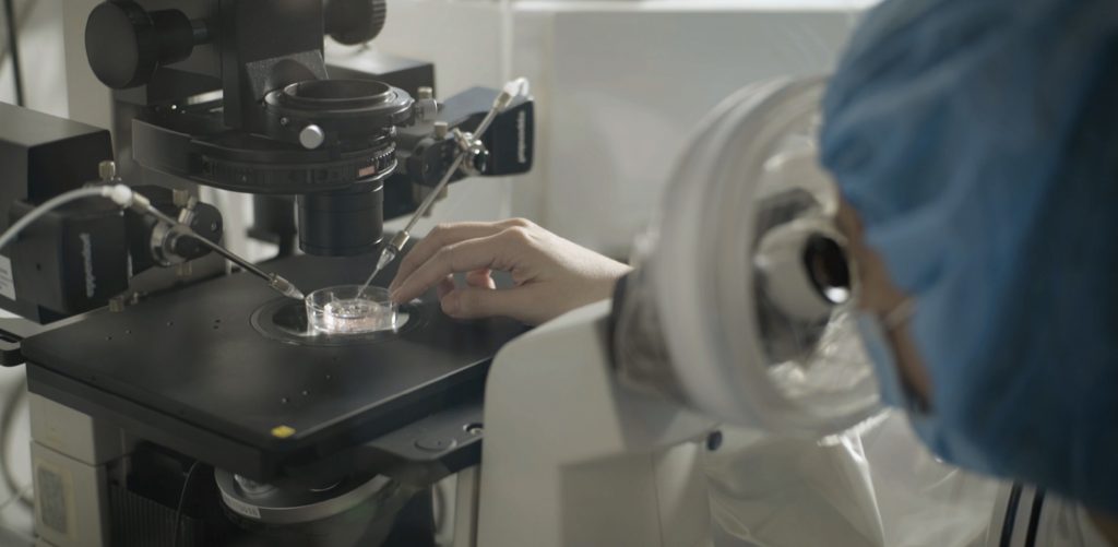 IVF in Malaysia: Procedure, Cost, Success Rate & Best IVF Doctors